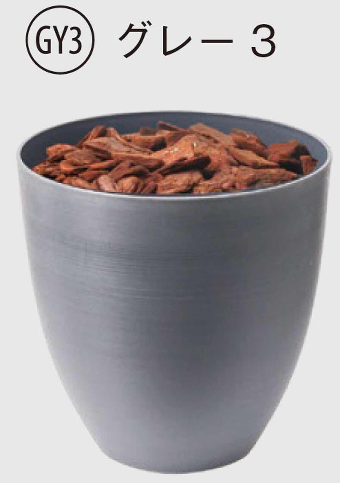 【送料別途A】150CMｱﾚｶﾔｼ: インテリアグリーン（鉢物・樹木） ｜ YDMオンラインストア ｜ 横浜ディスプレイミュージアム