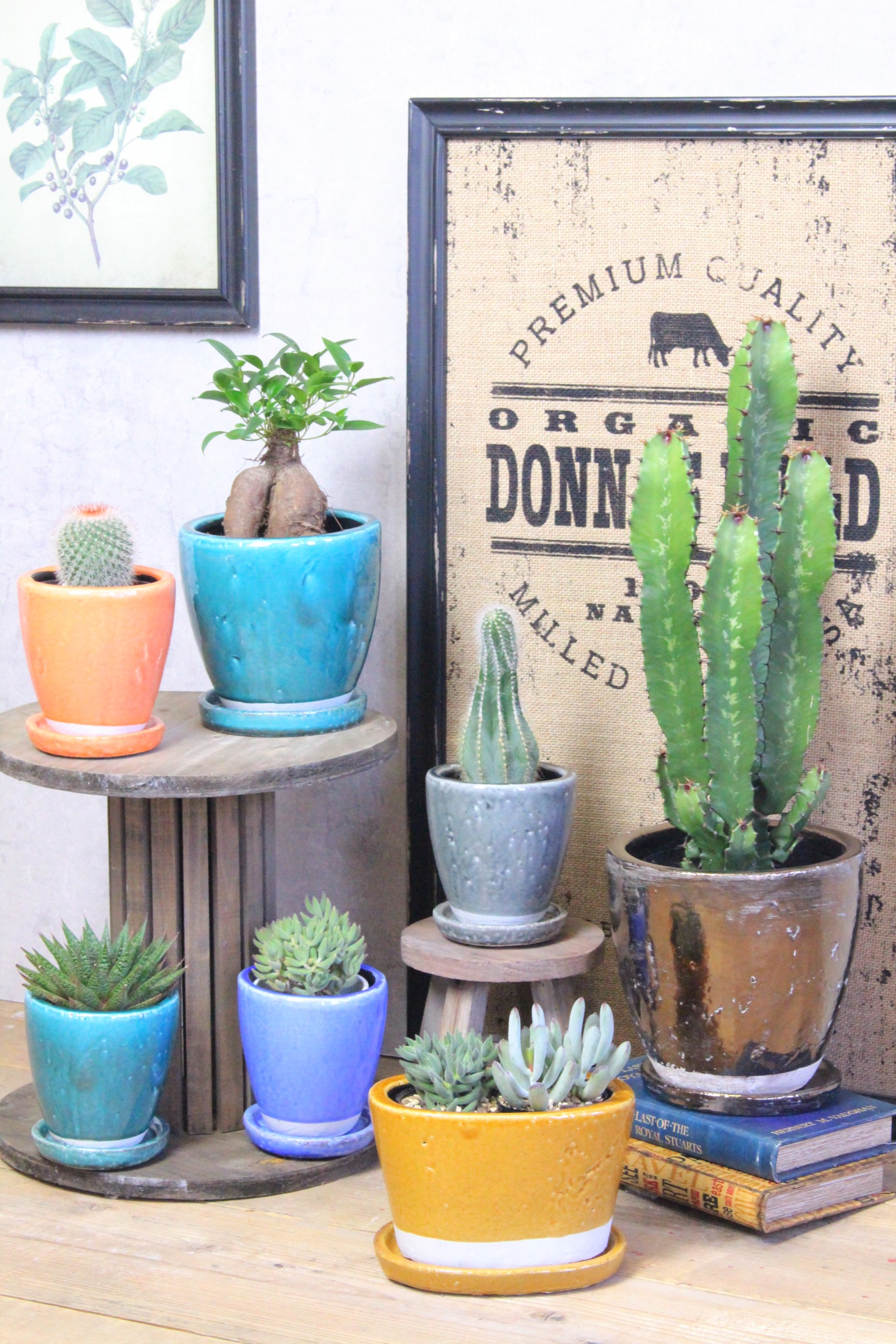 【個人宅配送不可】ｷｭﾘｵﾎﾟｯﾄL/Brown: クイックオーダーでのみ販売 ｜ YDMオンラインストア ｜ 横浜ディスプレイミュージアム