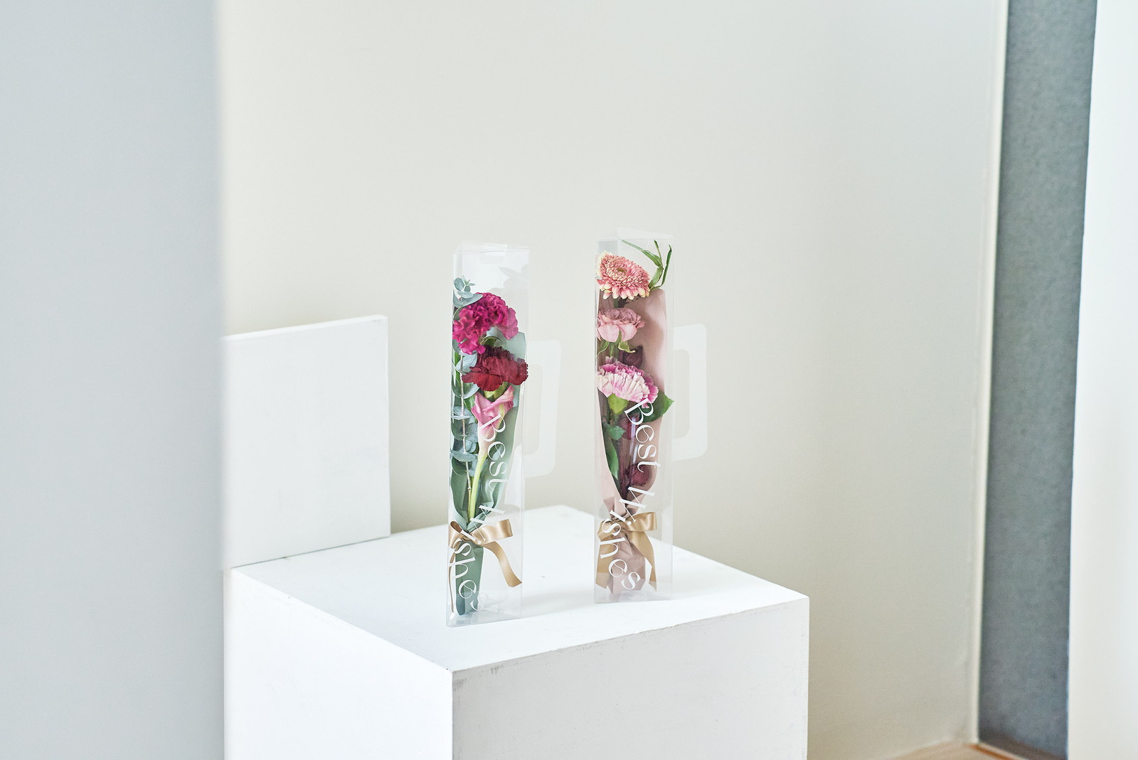 ｸﾘｱﾌﾟﾘｽﾞﾑﾎﾞｯｸｽ : ラッピング・梱包資材 ｜ YDMオンラインストア ｜ 横浜ディスプレイミュージアム