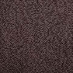 ﾚｵⅡ 3P DBR: 家具 ｜ YDMオンラインストア ｜ 横浜ディスプレイミュージアム