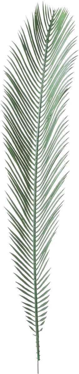 ｿﾃﾂS: フェイクグリーン ｜ YDMオンラインストア ｜ 横浜ディスプレイミュージアム