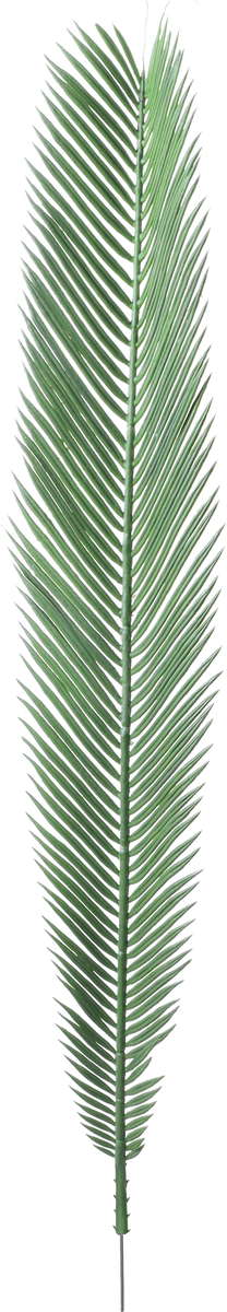 ｿﾃﾂM: フェイクグリーン ｜ YDMオンラインストア ｜ 横浜ディスプレイミュージアム