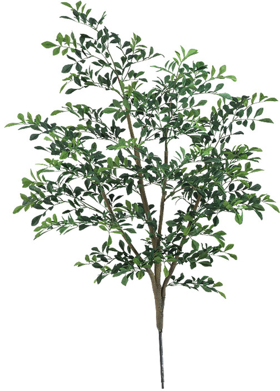 【送料別途】ﾄﾈﾘｺ ﾌﾞﾗﾝﾁ S: フェイクグリーン ｜ YDMオンラインストア ｜ 横浜ディスプレイミュージアム