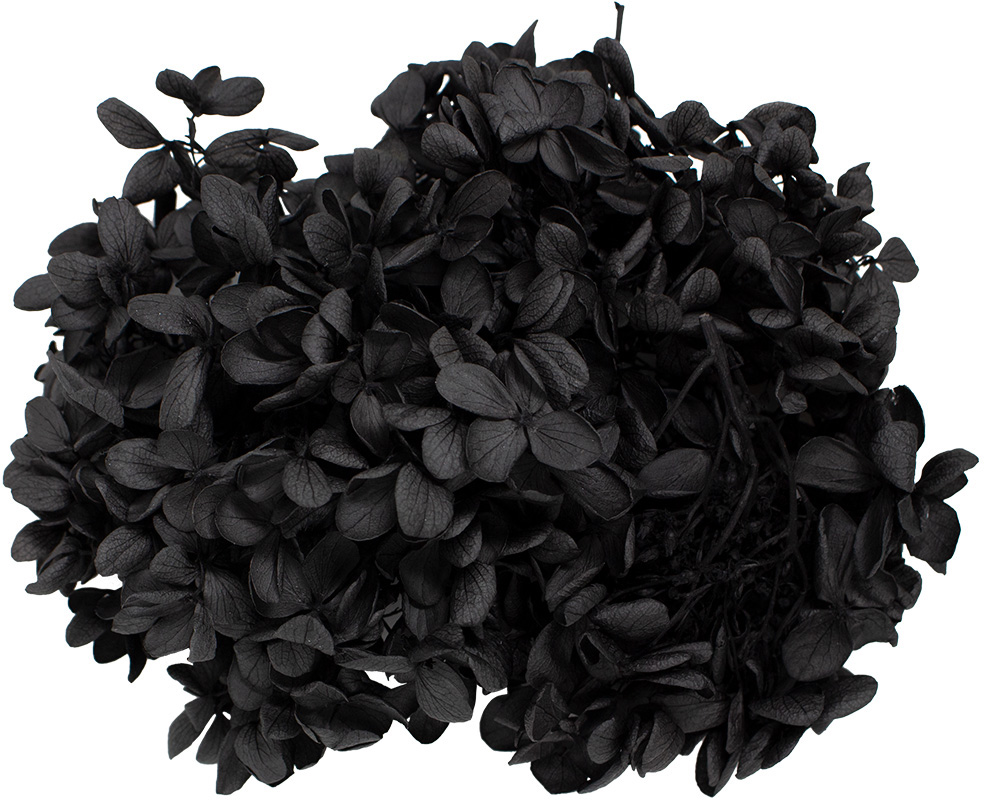 GPﾋﾟﾗﾐｯﾄｱｼﾞｻｲﾌﾞﾗｯｸ: プリザーブドフラワー ｜ YDMオンラインストア ｜ 横浜ディスプレイミュージアム