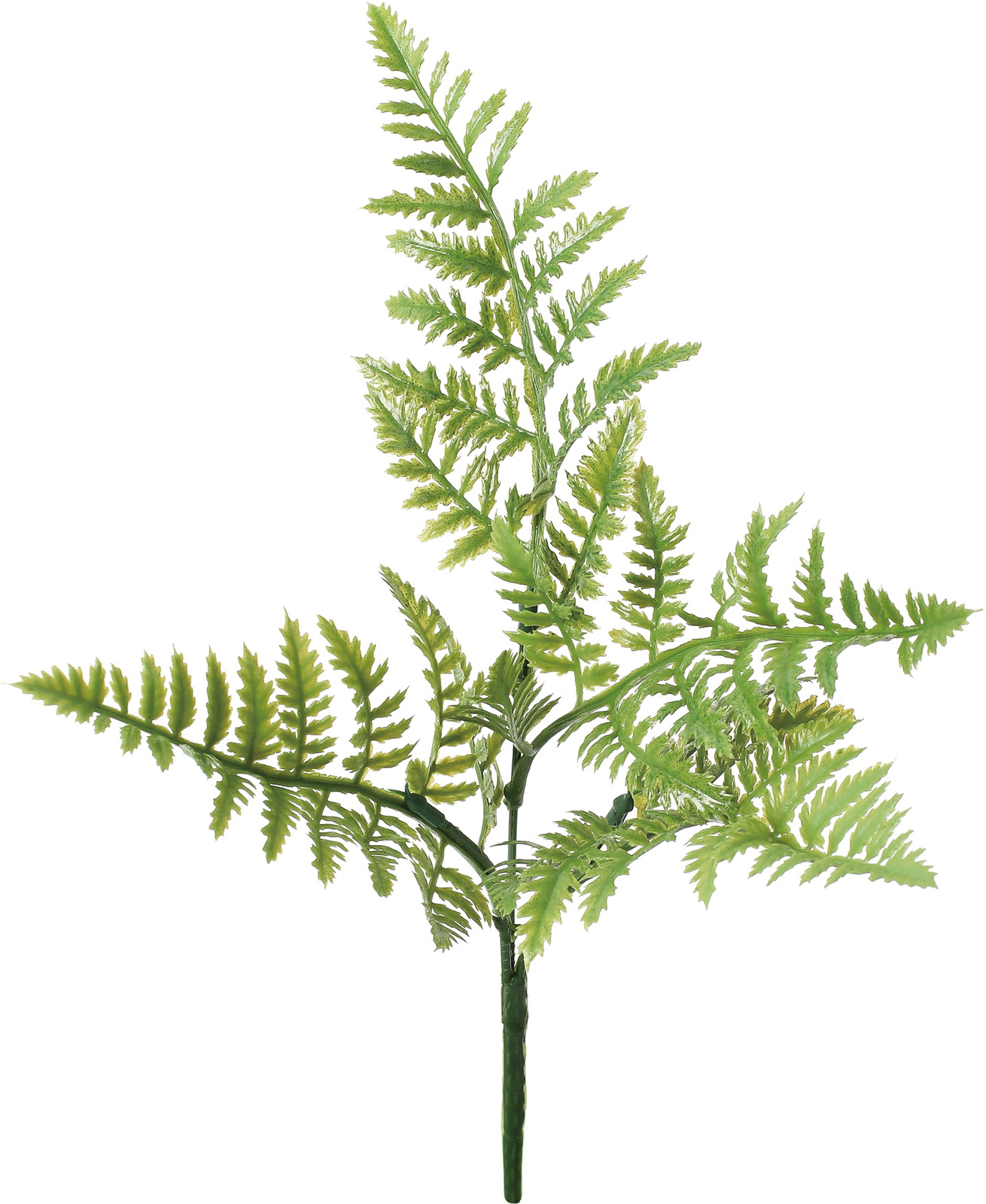 ﾌｧｰﾝﾌﾞｯｼｭ: フェイクグリーン ｜ YDMオンラインストア ｜ 横浜ディスプレイミュージアム