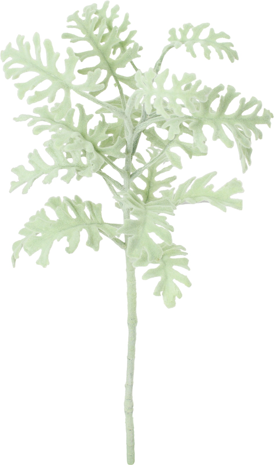 ﾀﾞｽﾃｨｰﾐﾗｰ: フェイクグリーン ｜ YDMオンラインストア ｜ 横浜ディスプレイミュージアム