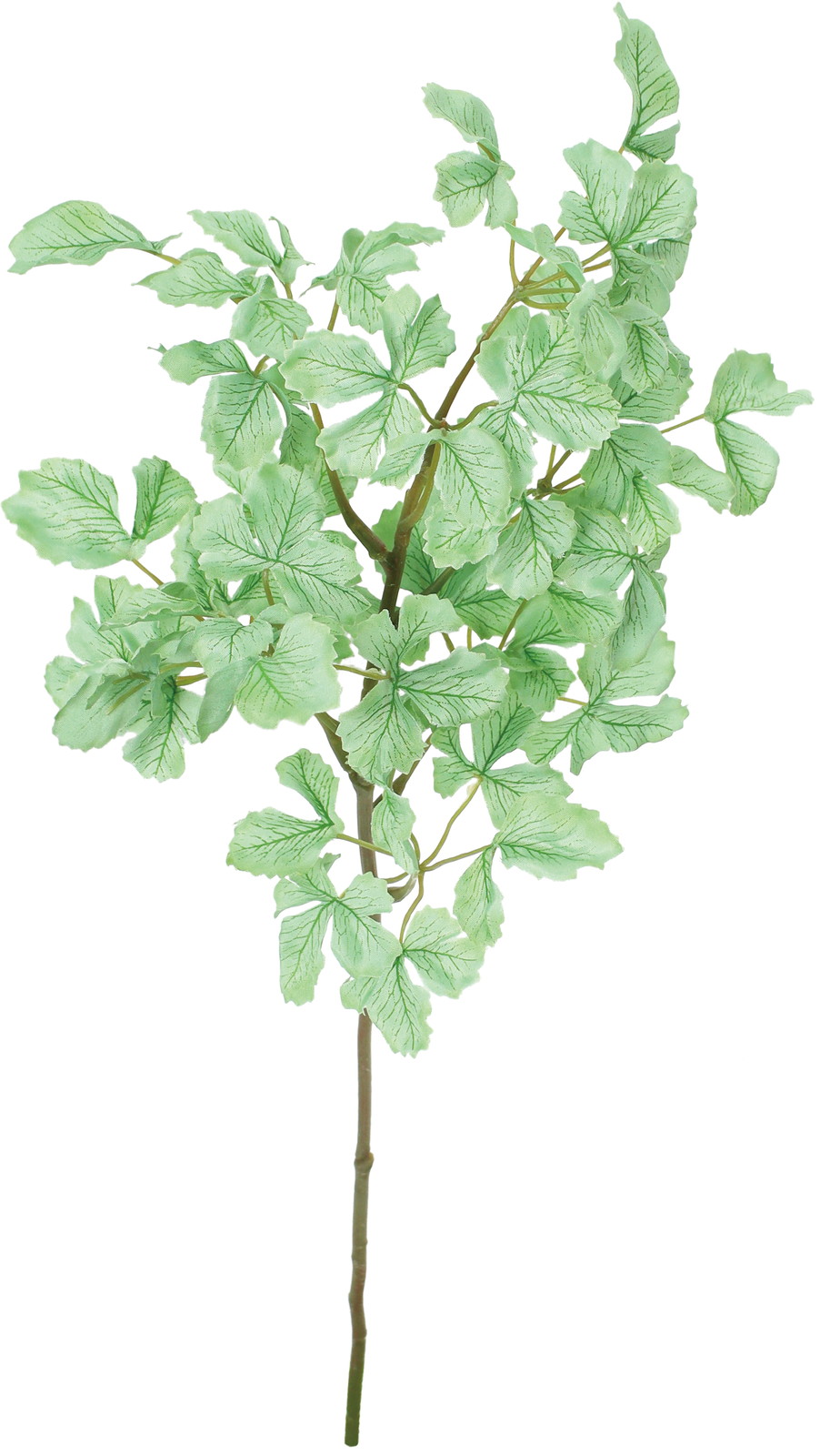 ｾﾛﾘﾘｰﾌｼｮｰﾄ: フェイクグリーン ｜ YDMオンラインストア ｜ 横浜ディスプレイミュージアム