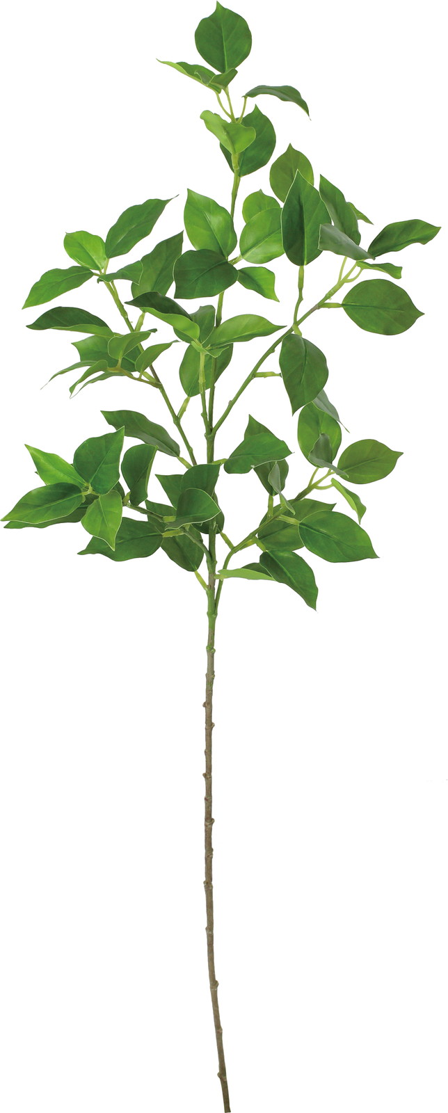 ｶﾞｼﾞｭﾏﾙｽﾌﾟﾚｰ: フェイクグリーン ｜ YDMオンラインストア ｜ 横浜ディスプレイミュージアム