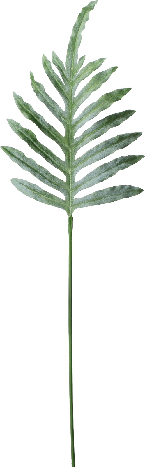 ｼﾞｬｺｳｼﾀﾞﾘｰﾌS: フェイクグリーン ｜ YDMオンラインストア ｜ 横浜ディスプレイミュージアム