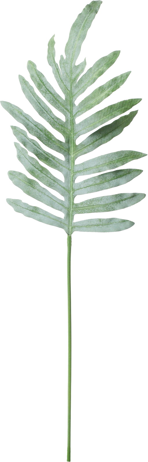 ｼﾞｬｺｳｼﾀﾞﾘｰﾌM: フェイクグリーン ｜ YDMオンラインストア ｜ 横浜ディスプレイミュージアム