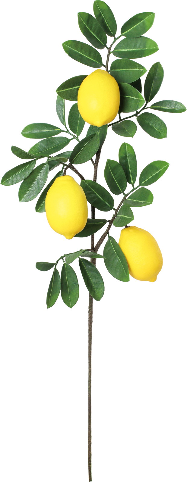 ﾚﾓﾝﾌﾞﾗﾝﾁ: 造花（アーティフィシャルフラワー） ｜ YDMオンラインストア ｜ 横浜ディスプレイミュージアム