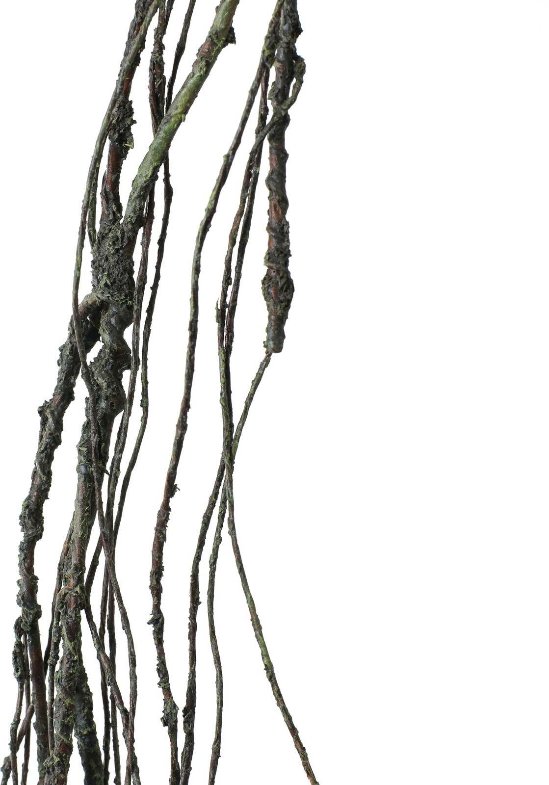 ﾌﾚｷｼﾌﾞﾙﾊﾞｲﾝﾊﾝｶﾞｰ: 造花（アーティフィシャルフラワー） ｜ YDMオンラインストア ｜ 横浜ディスプレイミュージアム