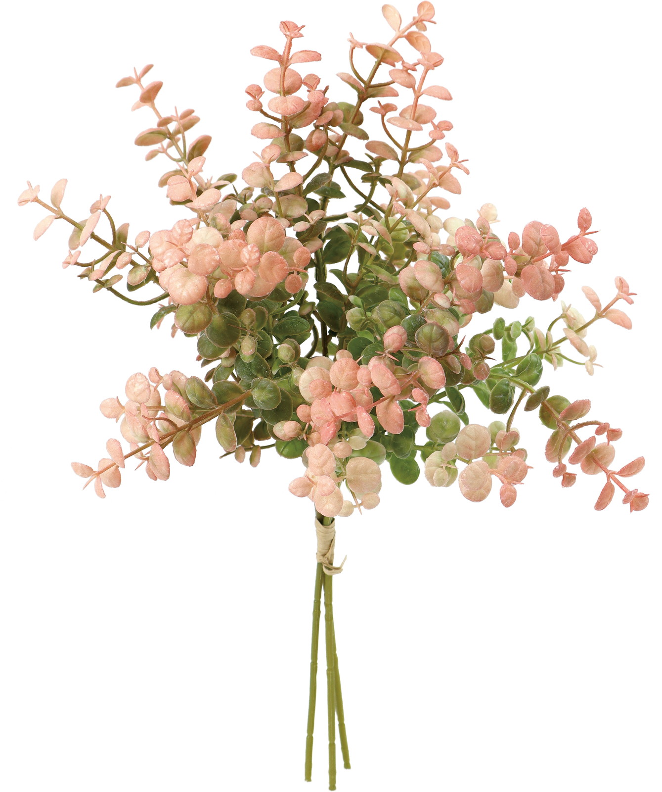 ｶﾗｰﾕｰｶﾘﾊﾞﾝﾁ: フェイクグリーン ｜ YDMオンラインストア ｜ 横浜ディスプレイミュージアム