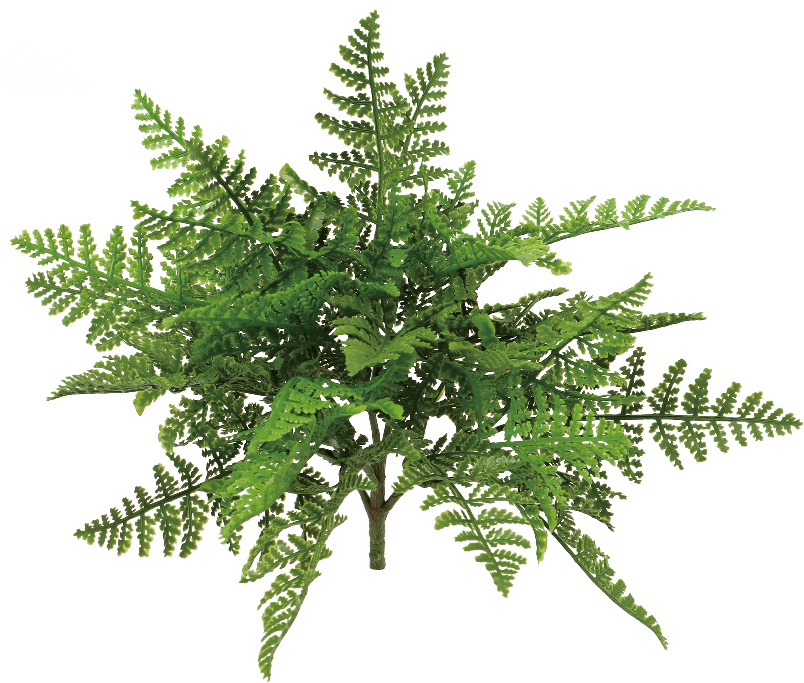 UVﾐﾆﾌｧｰﾝﾌﾞｯｼｭ: フェイクグリーン ｜ YDMオンラインストア ｜ 横浜ディスプレイミュージアム