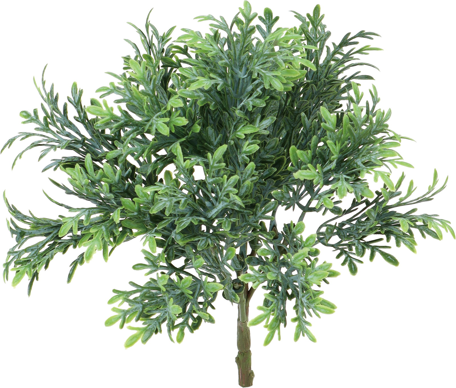 UVﾐﾆﾖﾓｷﾞﾌﾞｯｼｭ: フェイクグリーン ｜ YDMオンラインストア ｜ 横浜ディスプレイミュージアム