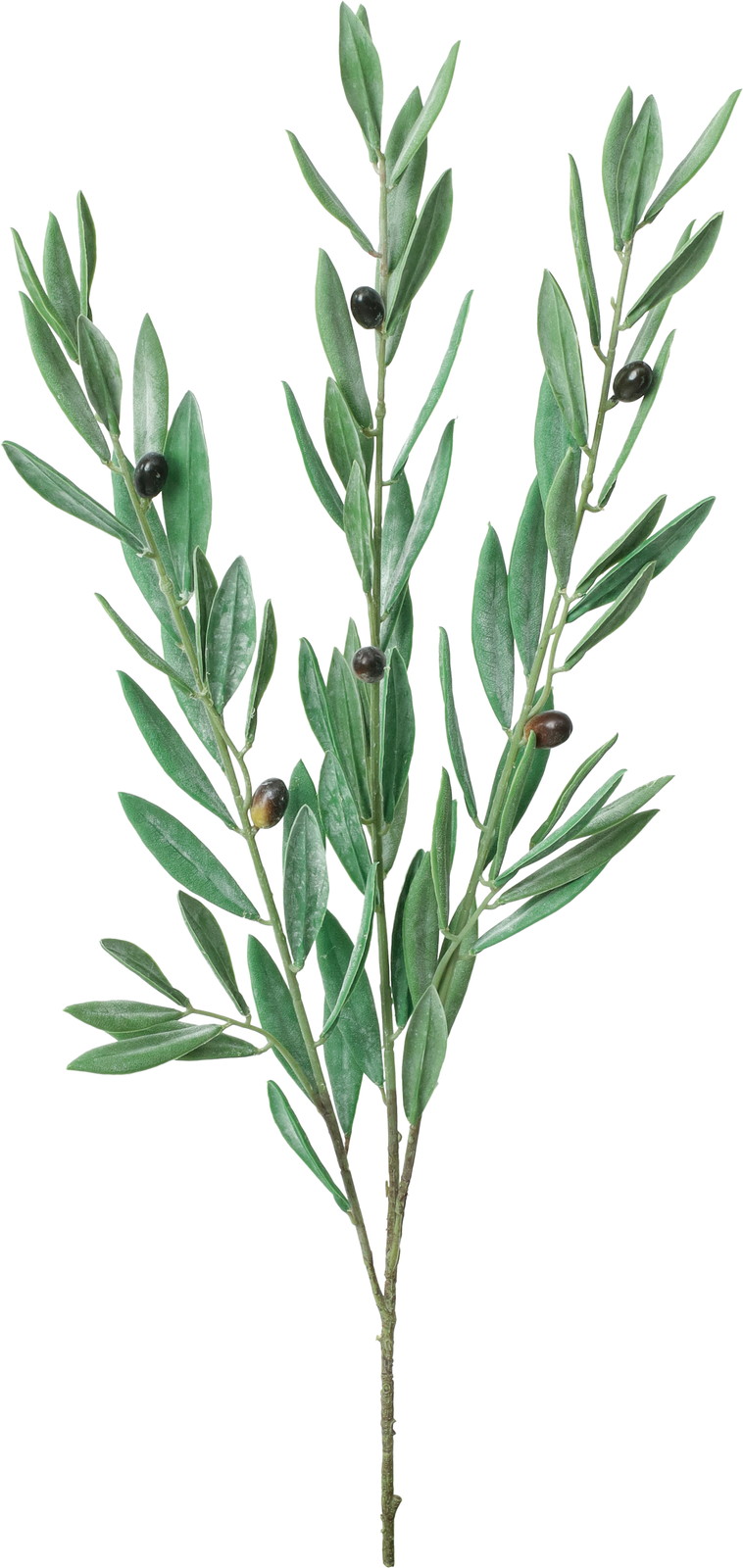 ｵﾘｰﾌﾞｽﾌﾟﾚｰ: 造花（アーティフィシャルフラワー） ｜ YDMオンラインストア ｜ 横浜ディスプレイミュージアム