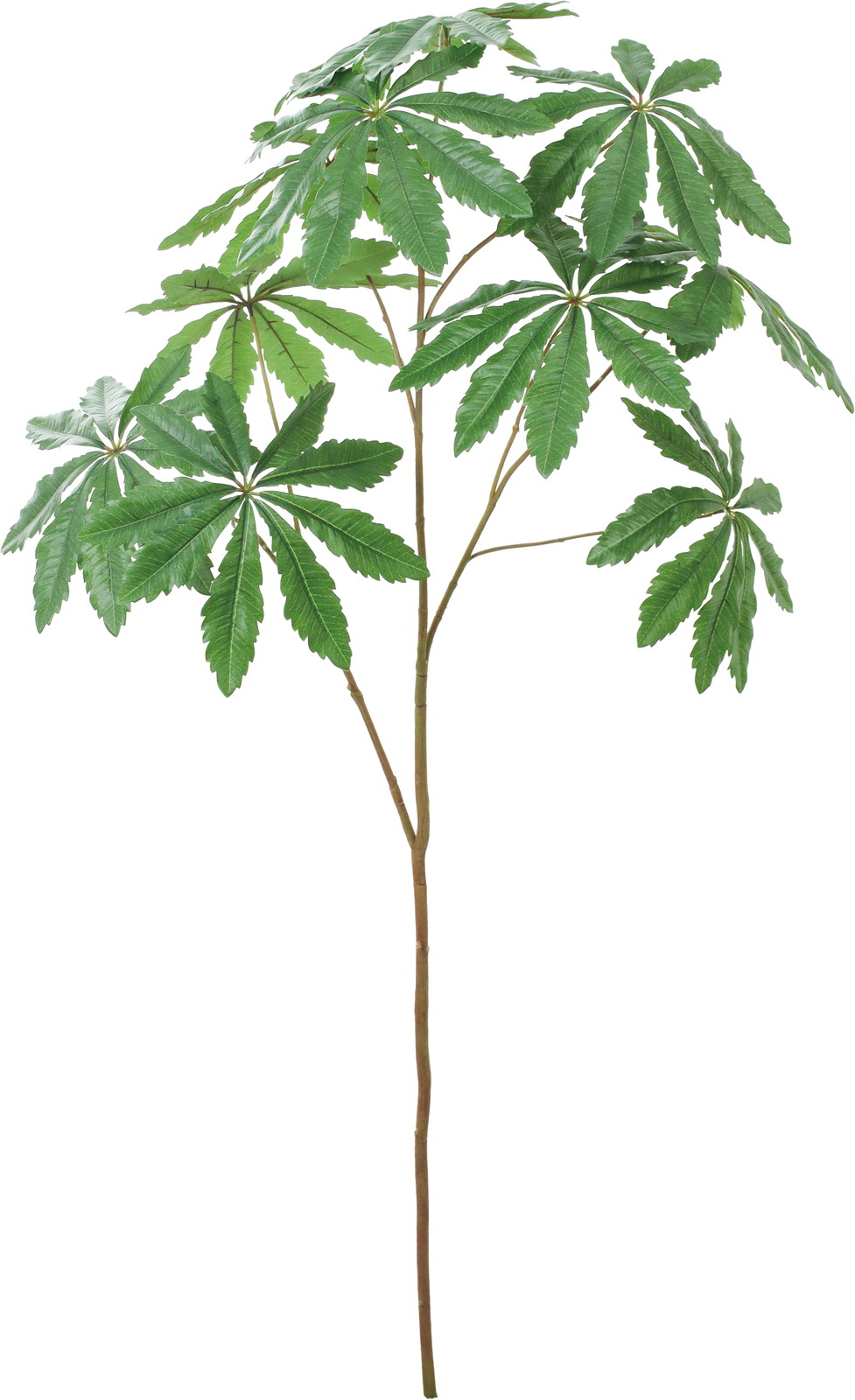 ｶｻﾊﾞﾘｰﾌﾌﾞﾗﾝﾁ: 造花（アーティフィシャルフラワー） ｜ YDMオンラインストア ｜ 横浜ディスプレイミュージアム