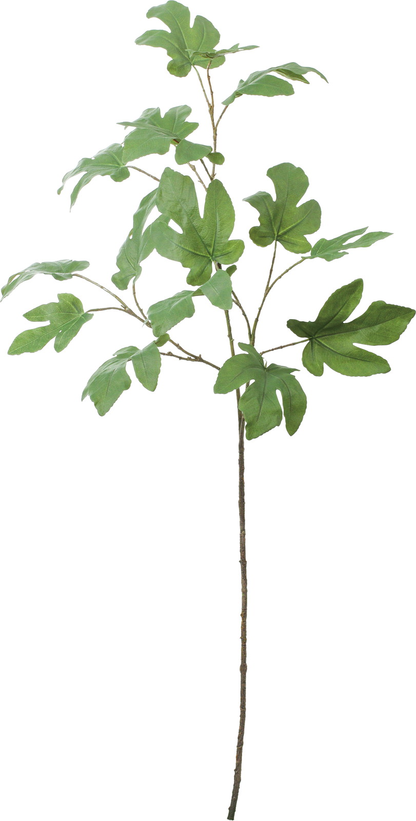 ﾌｨｸﾞﾘｰﾌﾌﾞﾗﾝﾁ: 造花（アーティフィシャルフラワー） ｜ YDMオンラインストア ｜ 横浜ディスプレイミュージアム