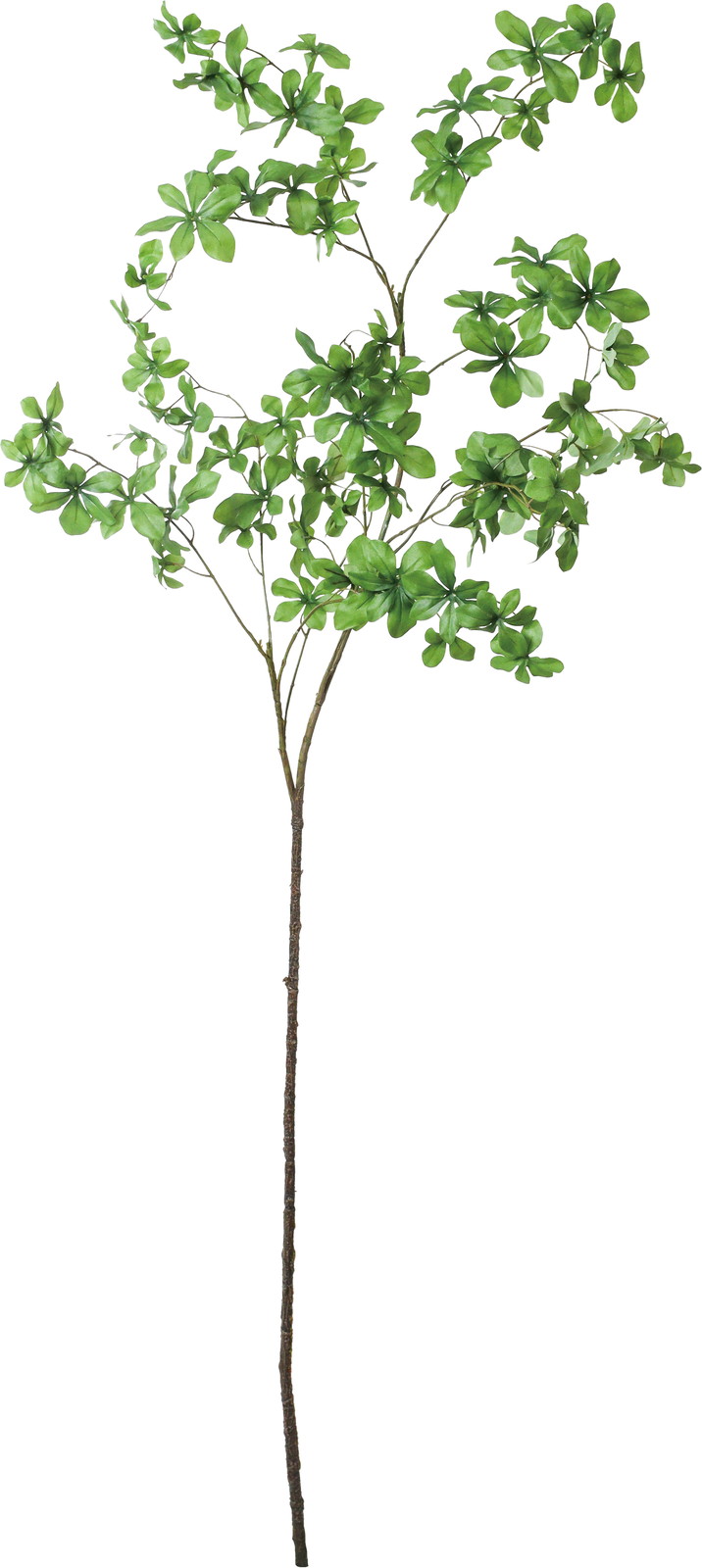 ﾄﾞｳﾀﾞﾝﾌﾞﾗﾝﾁ: 造花（アーティフィシャルフラワー） ｜ YDMオンラインストア ｜ 横浜ディスプレイミュージアム