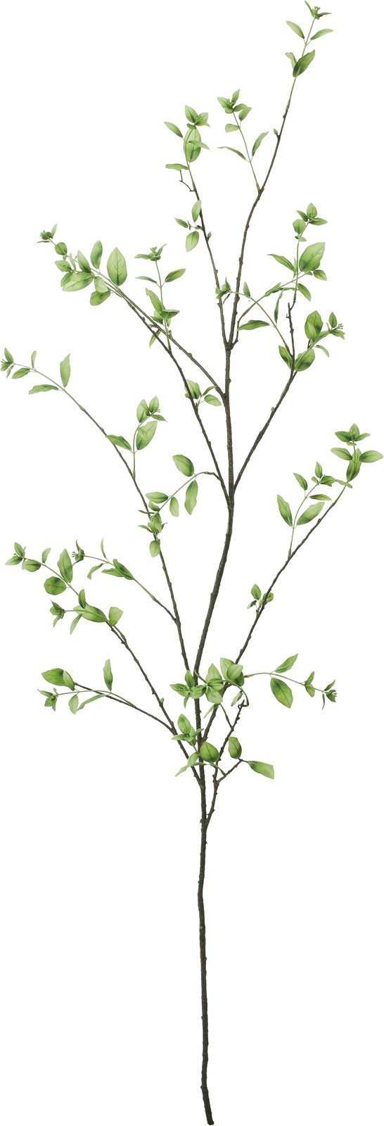 ｱｯﾌﾟﾙﾘｰﾌﾌﾞﾗﾝﾁ: 造花（アーティフィシャルフラワー） ｜ YDMオンラインストア ｜ 横浜ディスプレイミュージアム