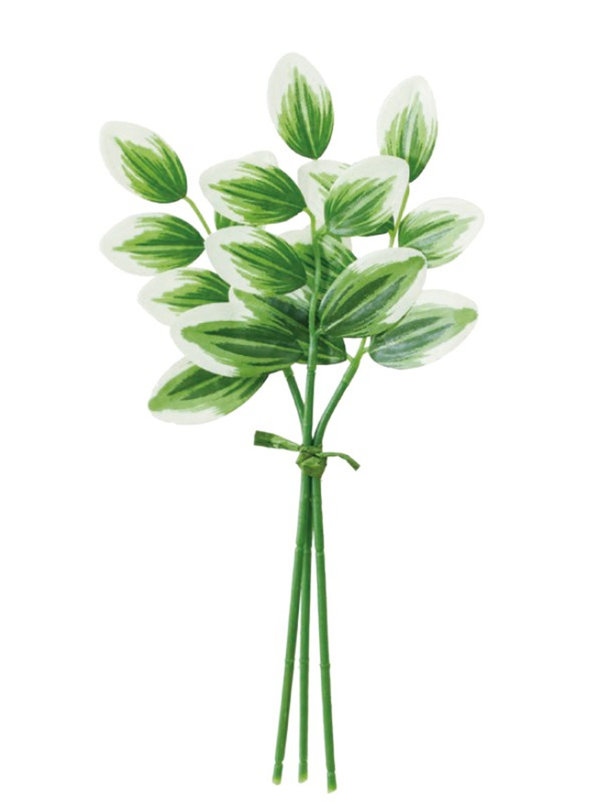 ﾅﾙｺﾗﾝﾋﾟｯｸ3Pｾｯﾄ: フェイクグリーン ｜ YDMオンラインストア ｜ 横浜ディスプレイミュージアム