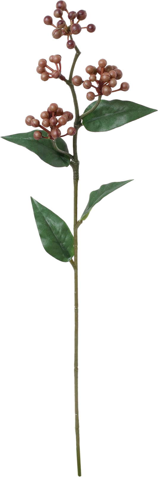 ﾉｰﾌﾞﾙﾍﾞﾘｰｽﾌﾟﾚｰ: 造花（アーティフィシャルフラワー） ｜ YDMオンラインストア ｜ 横浜ディスプレイミュージアム