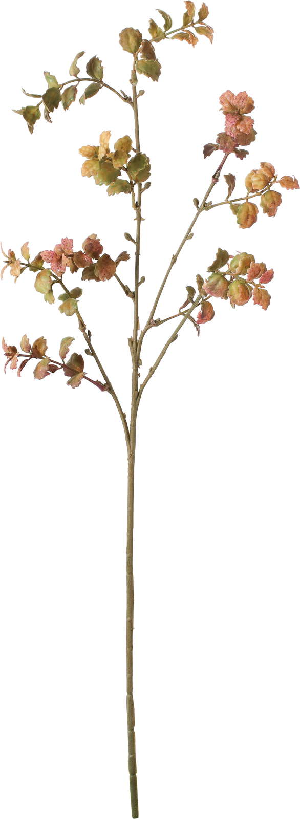 ｶﾗｰﾄﾞｸﾞﾗｽｽﾌﾟﾚｰ: フェイクグリーン ｜ YDMオンラインストア ｜ 横浜ディスプレイミュージアム