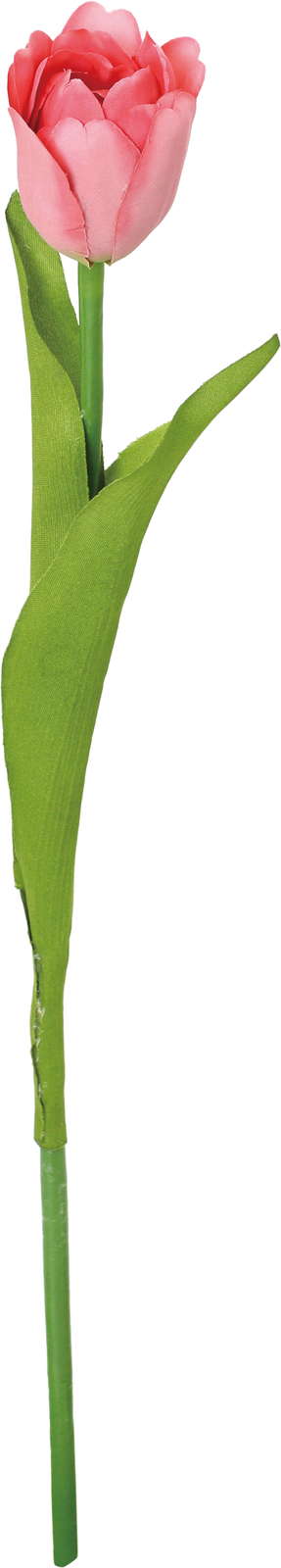 ｼﾝｸﾞﾙﾁｭｰﾘｯﾌﾟ: 造花（アーティフィシャルフラワー） ｜ YDMオンラインストア ｜ 横浜ディスプレイミュージアム