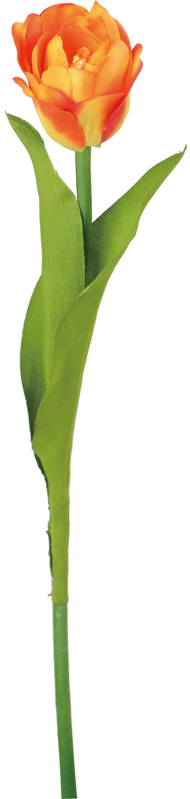 ｼﾝｸﾞﾙﾁｭｰﾘｯﾌﾟ: 造花（アーティフィシャルフラワー） ｜ YDMオンラインストア ｜ 横浜ディスプレイミュージアム