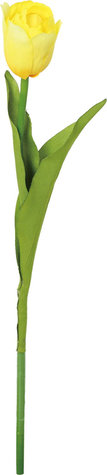 ｼﾝｸﾞﾙﾁｭｰﾘｯﾌﾟ: 造花（アーティフィシャルフラワー） ｜ YDMオンラインストア ｜ 横浜ディスプレイミュージアム