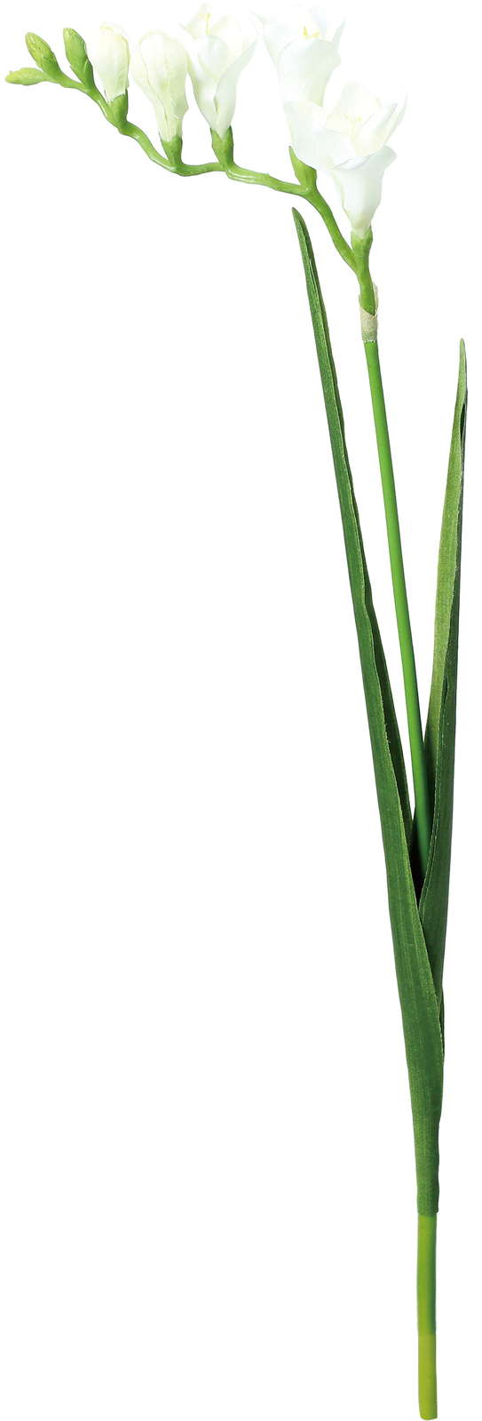 ｴｱﾘｰﾌﾘｰｼﾞｱ: 造花（アーティフィシャルフラワー） ｜ YDMオンラインストア ｜ 横浜ディスプレイミュージアム