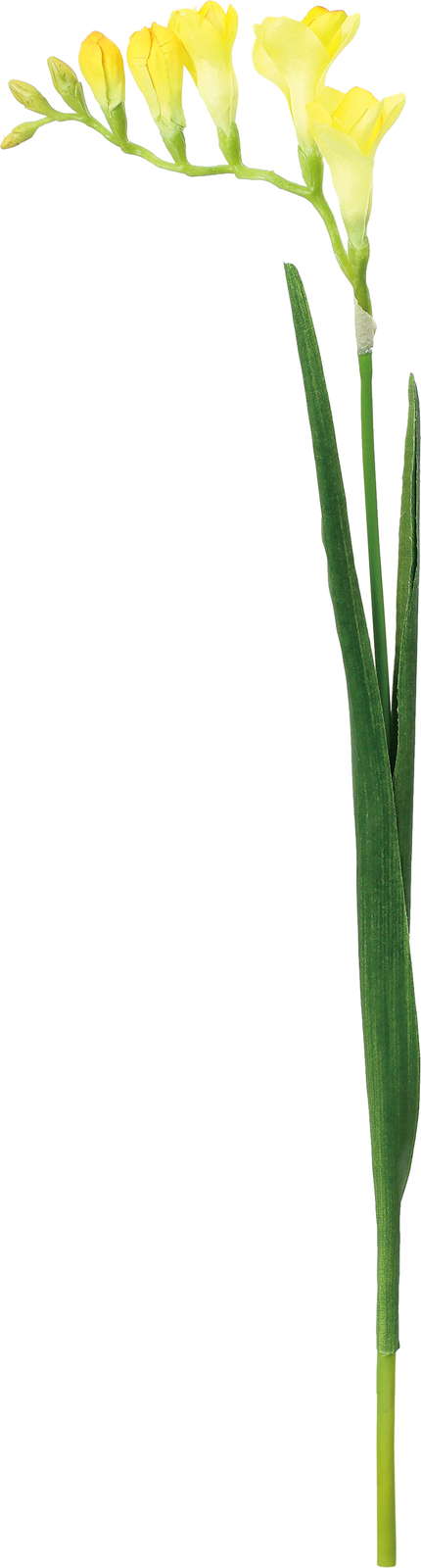 ｴｱﾘｰﾌﾘｰｼﾞｱ: 造花（アーティフィシャルフラワー） ｜ YDMオンラインストア ｜ 横浜ディスプレイミュージアム