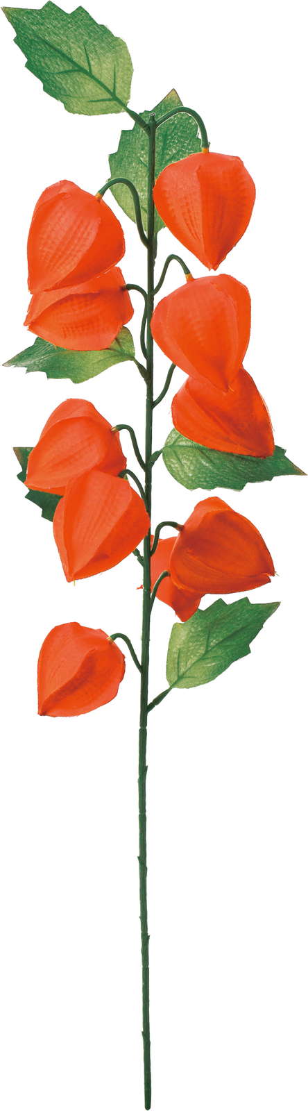 ﾎｵｽﾞｷx10: 造花（アーティフィシャルフラワー） ｜ YDMオンラインストア ｜ 横浜ディスプレイミュージアム