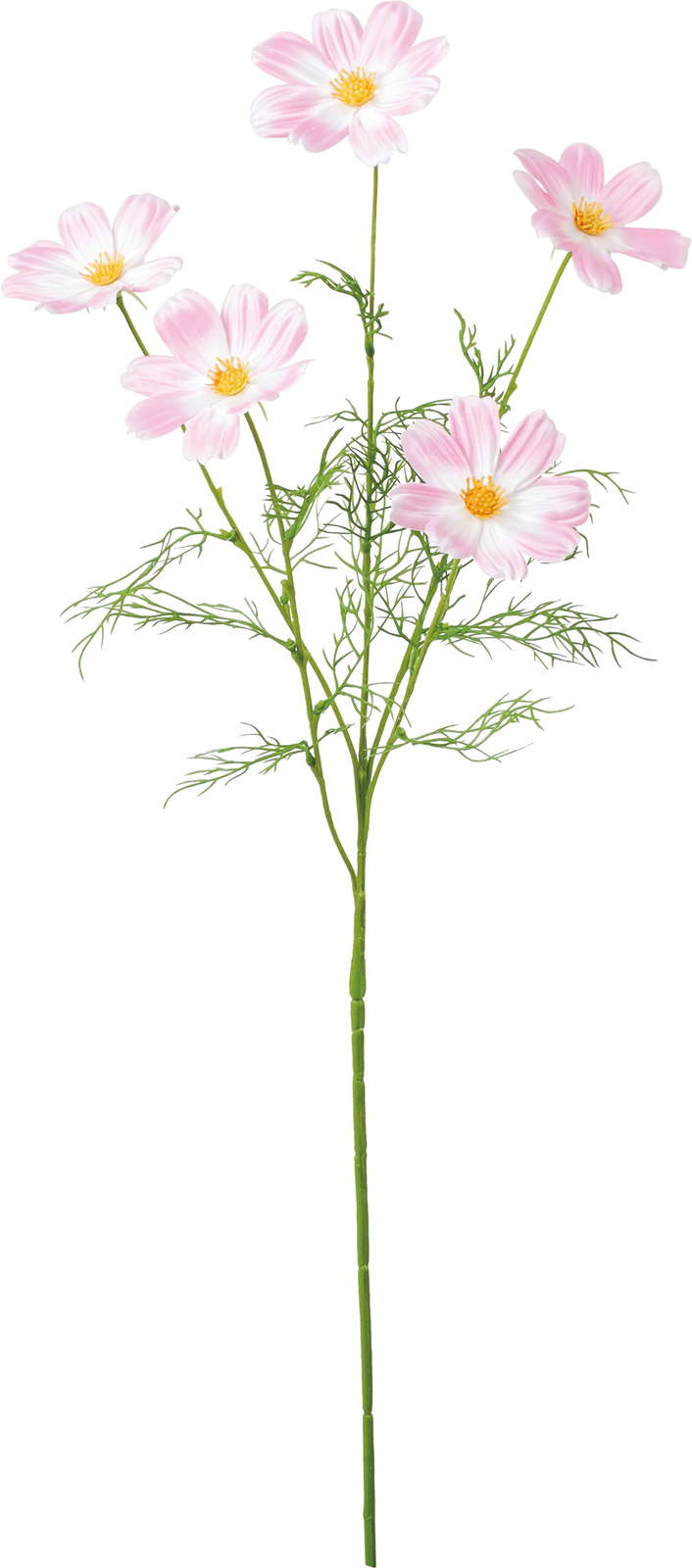 ｻﾃﾝｺｽﾓｽｽﾌﾟﾚｰ: 造花（アーティフィシャルフラワー） ｜ YDMオンラインストア ｜ 横浜ディスプレイミュージアム