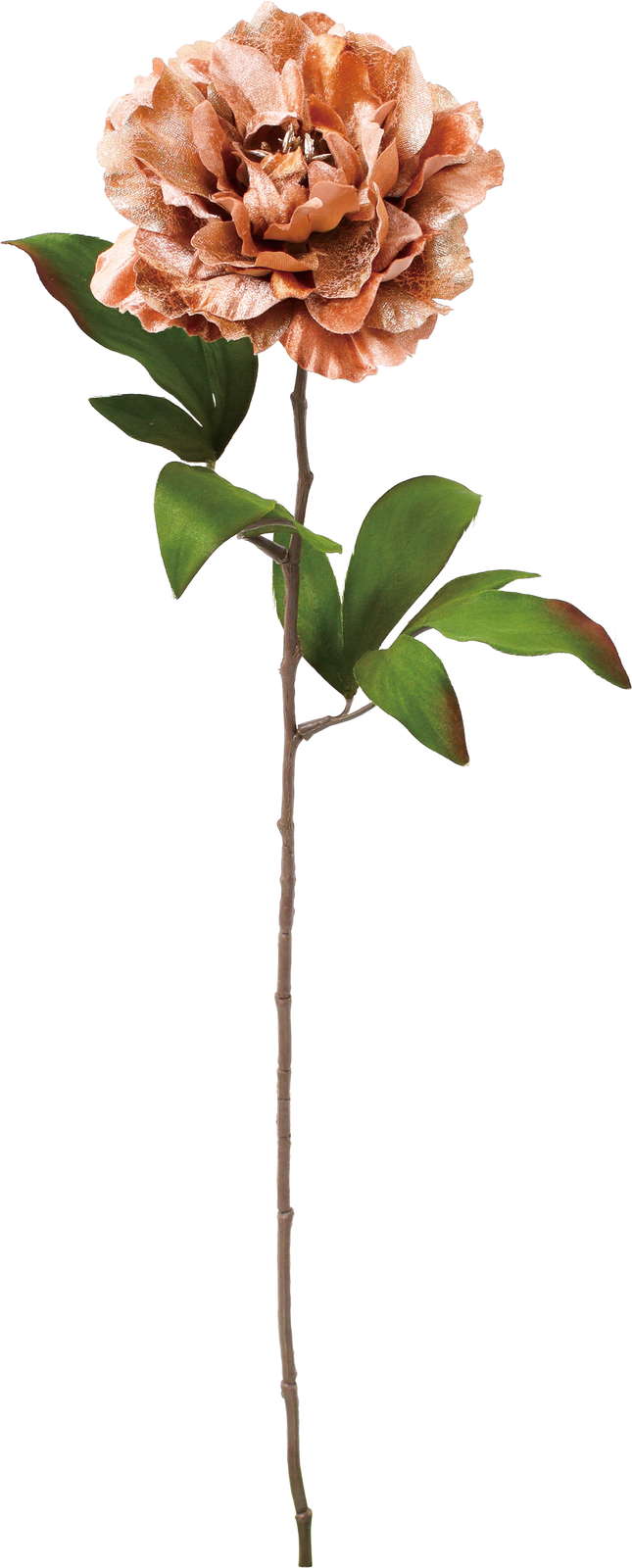 ﾍﾞﾙﾍﾞｯﾄﾋﾟｵﾆｰ: 造花（アーティフィシャルフラワー） ｜ YDMオンラインストア ｜ 横浜ディスプレイミュージアム