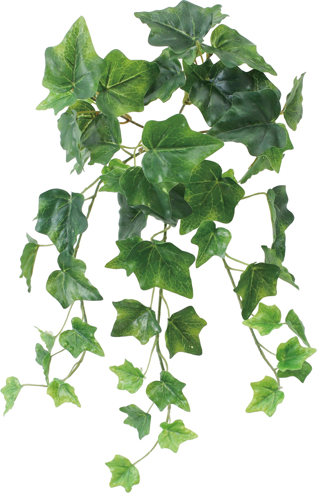 ｱｲﾋﾞｰﾌﾞｯｼｭ: フェイクグリーン ｜ YDMオンラインストア ｜ 横浜ディスプレイミュージアム