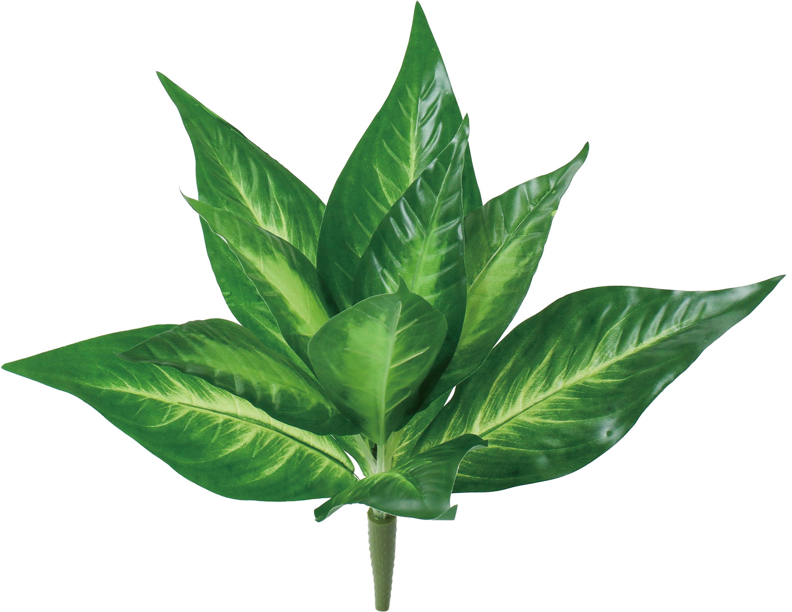 ﾃﾞﾌｪﾝﾊﾞｷｱﾌﾞｯｼｭ: フェイクグリーン ｜ YDMオンラインストア ｜ 横浜ディスプレイミュージアム