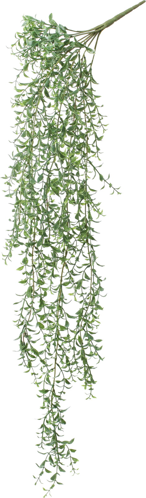 ｳｫｰﾀｰｸﾞﾗｽﾊﾝｶﾞｰ: フェイクグリーン ｜ YDMオンラインストア ｜ 横浜ディスプレイミュージアム