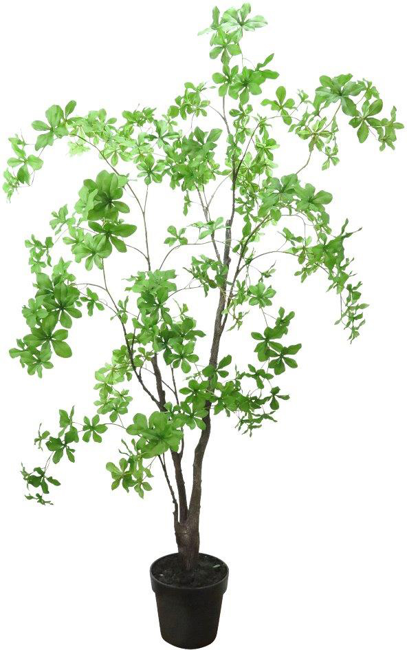 ﾂﾂｼﾞﾌﾟﾗﾝﾀｰ: フェイクグリーン ｜ YDMオンラインストア ｜ 横浜ディスプレイミュージアム